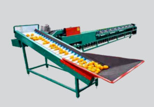 Vegetable / Fruit Grading Machine - Agro Seed Grader